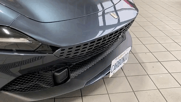 Best Exhaust - Carbonio Ferrari Roma No Drill License Plate Mount ROW ...